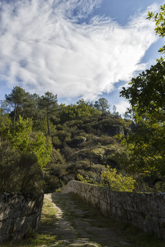 29 件の最適な デザ 画像、ストック写真、ベクター | Adobe Stock