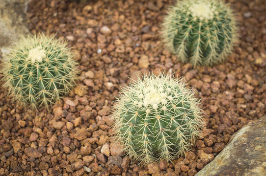 Hildm-Bilder: Stock-Fotos & -Videos. | Adobe Stock