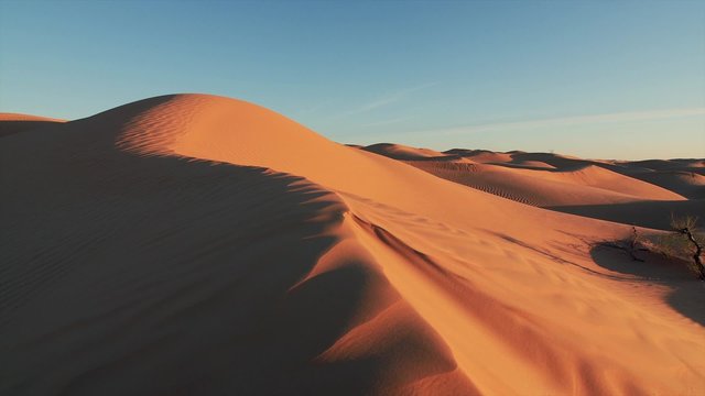 「Sahara」の画像 - 186,370 件の Stock 写真、ベクターおよびビデオ | Adobe Stock