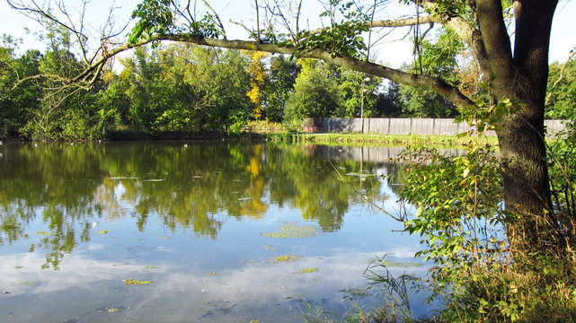 Mirrror Bilder – Durchsuchen 239 Archivfotos, Vektorgrafiken und Videos ...