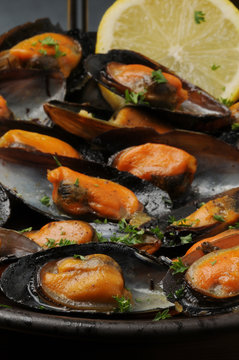 Pedoci Images – Browse 197 Stock Photos, Vectors, and Video | Adobe Stock