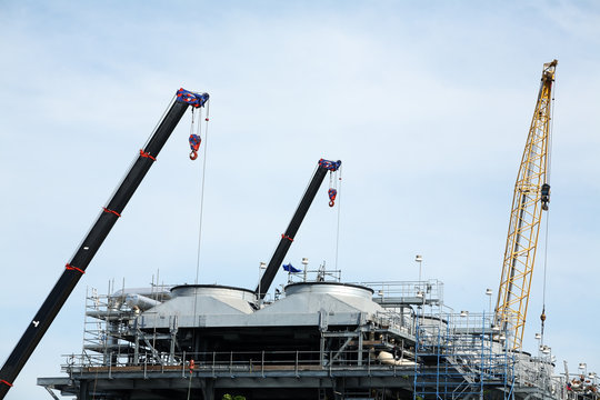 Palant Images – Browse 37 Stock Photos, Vectors, and Video | Adobe Stock