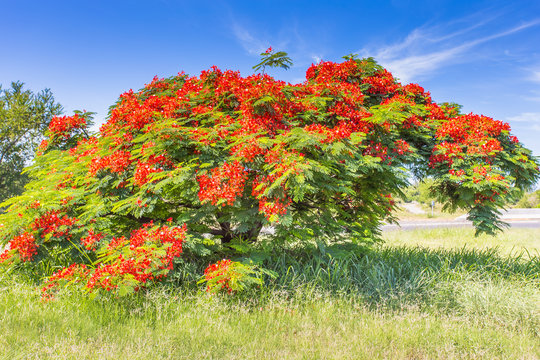 รูปภาพNanggol – เลือกดูภาพถ่ายสต็อก เวกเตอร์ และวิดีโอ94 | Adobe Stock