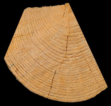 Chipwood Bilder – Durchsuchen 130 Archivfotos, Vektorgrafiken und ...