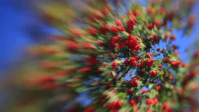 Dissymmetric Images – Browse 14 Stock Photos, Vectors, and Video ...