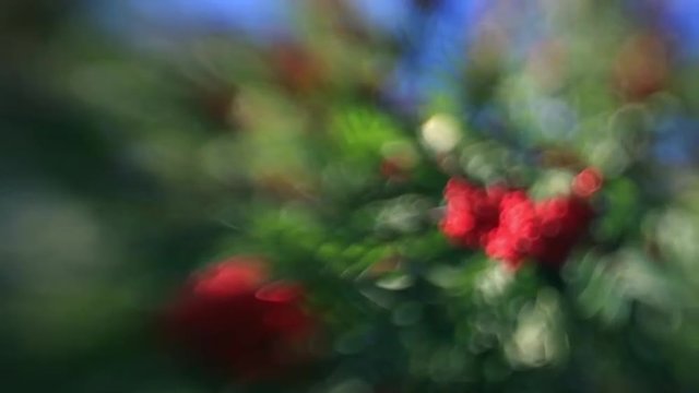 Dissymmetric Images – Browse 14 Stock Photos, Vectors, and Video ...