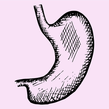 Gastrospasm Images – Browse 13 Stock Photos, Vectors, and Video | Adobe ...