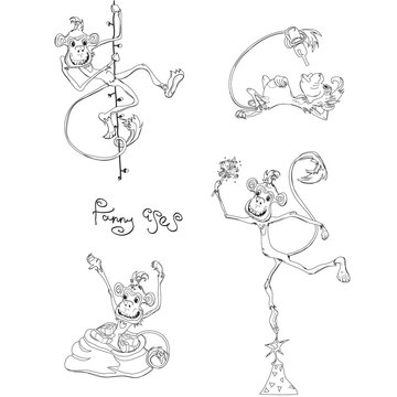 "Black Outlines" Billeder – Gennemse 298 stockfotos, vektorer og videoer | Adobe Stock