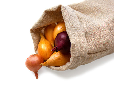 Scoke bilder – Bläddra bland 2,717 stockfoton, vektorer och videor ...