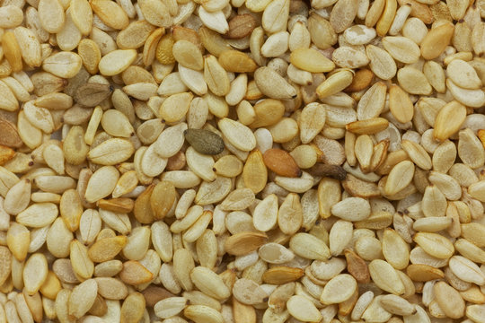Sesamkorn bilder – Bläddra bland 84 stockfoton, vektorer och videor ...