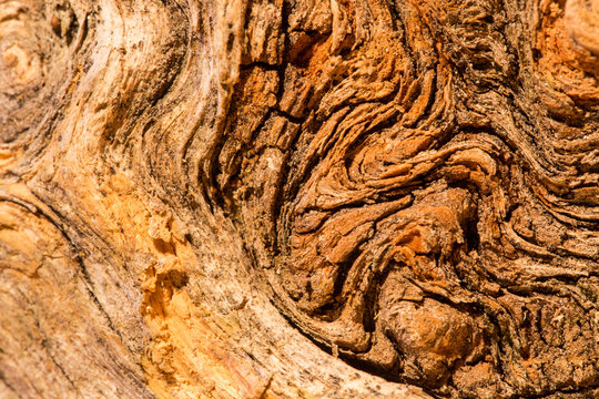 Arvenholz Images – Parcourir 901 le catalogue de photos, vecteurs et ...