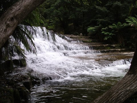 Liffy Images – Browse 34 Stock Photos, Vectors, and Video | Adobe Stock