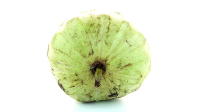 รูปภาพSeethaphal – เลือกดูภาพถ่ายสต็อก เวกเตอร์ และวิดีโอ101 | Adobe Stock