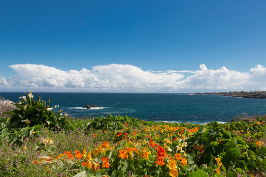 Fotolia - Images et vidéos libres de droits | Adobe Stock