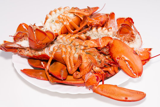 Lubrigante Images – Browse 44 Stock Photos, Vectors, and Video | Adobe ...