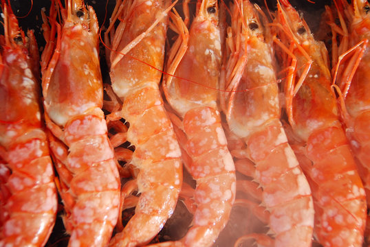 Gambones Images – Browse 175 Stock Photos, Vectors, and Video | Adobe Stock