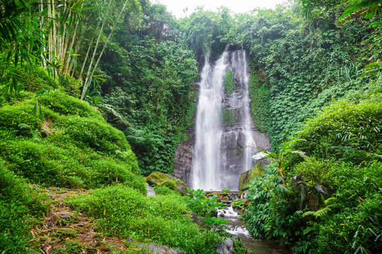 Bumboo Images – Browse 35 Stock Photos, Vectors, and Video | Adobe Stock