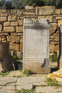 Marinids Images – Browse 39 Stock Photos, Vectors, and Video | Adobe Stock