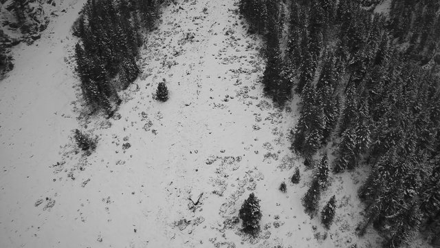 รูปภาพAlpenregion – เลือกดูภาพถ่ายสต็อก เวกเตอร์ และวิดีโอ2,244 | Adobe ...