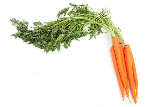 Carots bilder – Bläddra bland 430 stockfoton, vektorer och videor ...