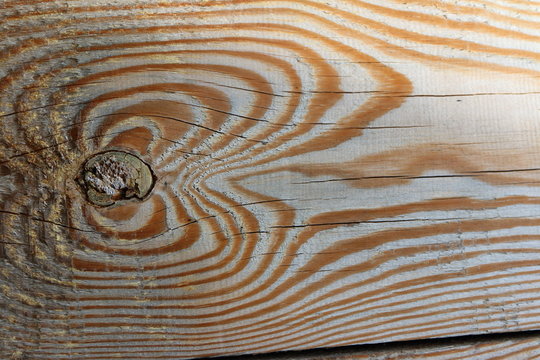 Chipwood Bilder – Durchsuchen 130 Archivfotos, Vektorgrafiken und ...