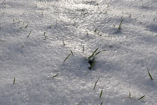 Harsch Bilder – Durchsuchen 168,409 Archivfotos, Vektorgrafiken und ...