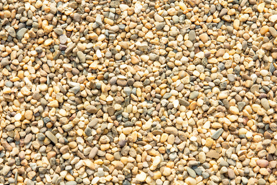 Garvel Images – Browse 84 Stock Photos, Vectors, and Video | Adobe Stock