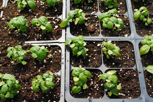 Trowl Bilder – Durchsuchen 44 Archivfotos, Vektorgrafiken und Videos ...