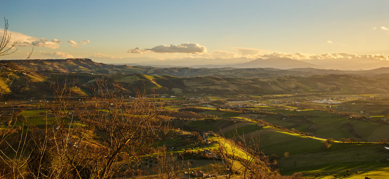 Marchigiana Bilder – Durchsuchen 243 Archivfotos, Vektorgrafiken und ...