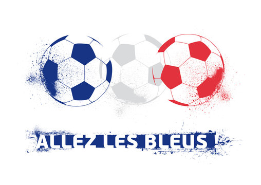 "Les Bleus" Images – Browse 241 Stock Photos, Vectors, and Video ...