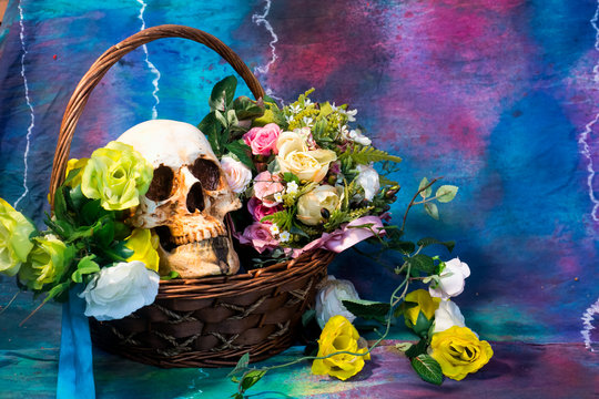 รูปภาพVanitas – เลือกดูภาพถ่ายสต็อก เวกเตอร์ และวิดีโอ976 | Adobe Stock