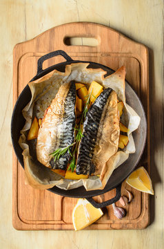 「Potapo」の写真素材 | 66件の無料イラスト画像 | Adobe Stock