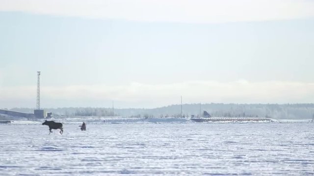 Imagens de Lulea – Explore Fotografias do Stock, Vetores e Vídeos de ...