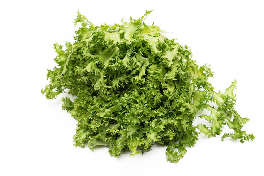 "Indivia Riccia" Images – Browse 45 Stock Photos, Vectors, and Video ...