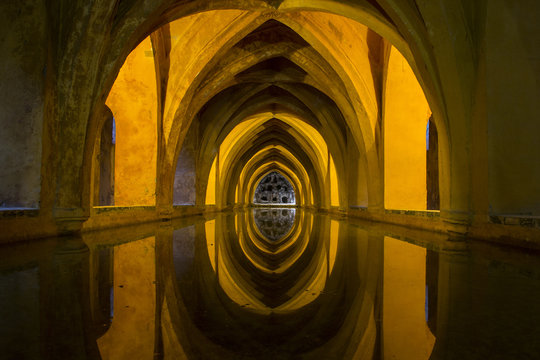 รูปภาพPauroso – เลือกดูภาพถ่ายสต็อก เวกเตอร์ และวิดีโอ721 | Adobe Stock