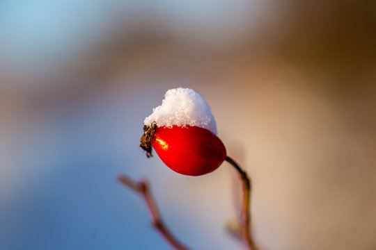 Hiffen Bilder – Durchsuchen 326 Archivfotos, Vektorgrafiken und Videos ...