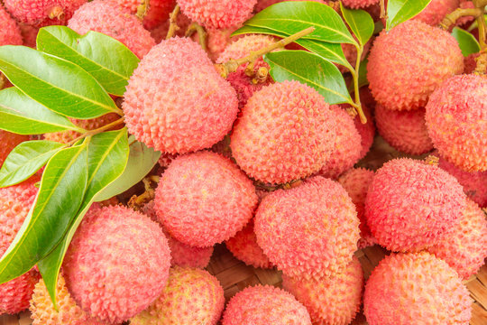 Letchi Bilder – Durchsuchen 728 Archivfotos, Vektorgrafiken und Videos ...