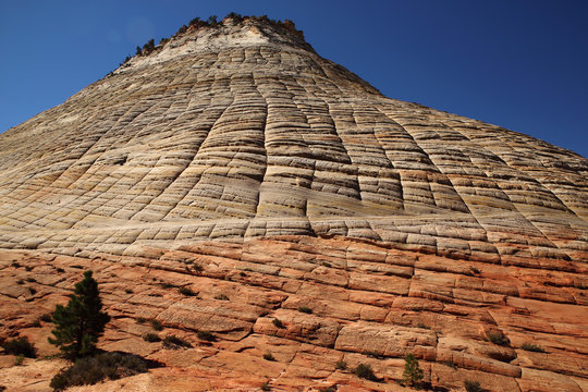 รูปภาพLithification – เลือกดูภาพถ่ายสต็อก เวกเตอร์ และวิดีโอ156 | Adobe Stock