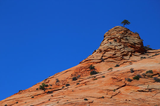 รูปภาพLithification – เลือกดูภาพถ่ายสต็อก เวกเตอร์ และวิดีโอ156 | Adobe Stock