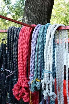 「Roap」の画像 - 251 件の Stock 写真、ベクターおよびビデオ | Adobe Stock