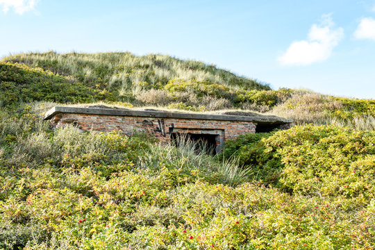 รูปภาพSond – เลือกดูภาพถ่ายสต็อก เวกเตอร์ และวิดีโอ105 | Adobe Stock