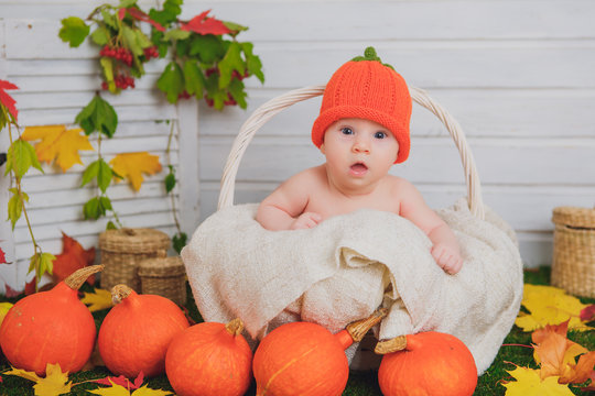 「Halwin」の写真素材 | 120件の無料イラスト画像 | Adobe Stock