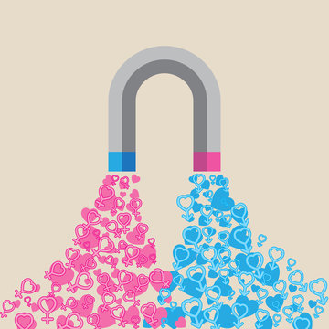 รูปภาพAttract – เลือกดูภาพถ่ายสต็อก เวกเตอร์ และวิดีโอ2,477,504 | Adobe ...