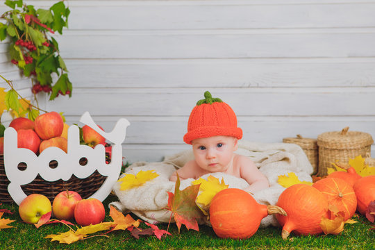 「Halwin」の写真素材 | 120件の無料イラスト画像 | Adobe Stock