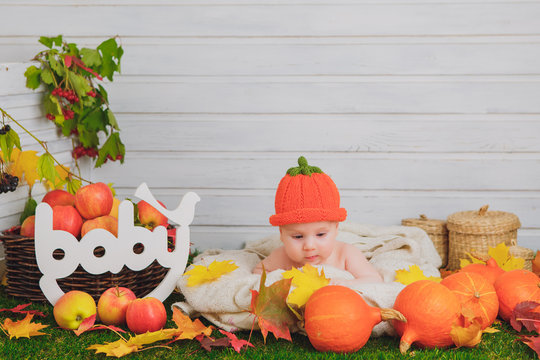 「Halwin」の写真素材 | 120件の無料イラスト画像 | Adobe Stock