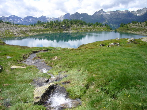 รูปภาพFusio – เลือกดูภาพถ่ายสต็อก เวกเตอร์ และวิดีโอ102 | Adobe Stock