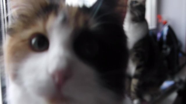 Fixedly Images – Browse 1,967 Stock Photos, Vectors, and Video | Adobe ...