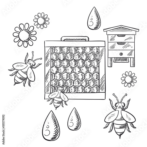 "Beekeeping and apiary sketched objects" Imágenes de archivo y vectores ...