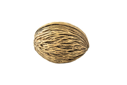 Tangena Images – Browse 158 Stock Photos, Vectors, and Video | Adobe Stock