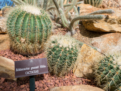 Hildm-Bilder: Stock-Fotos & -Videos. | Adobe Stock